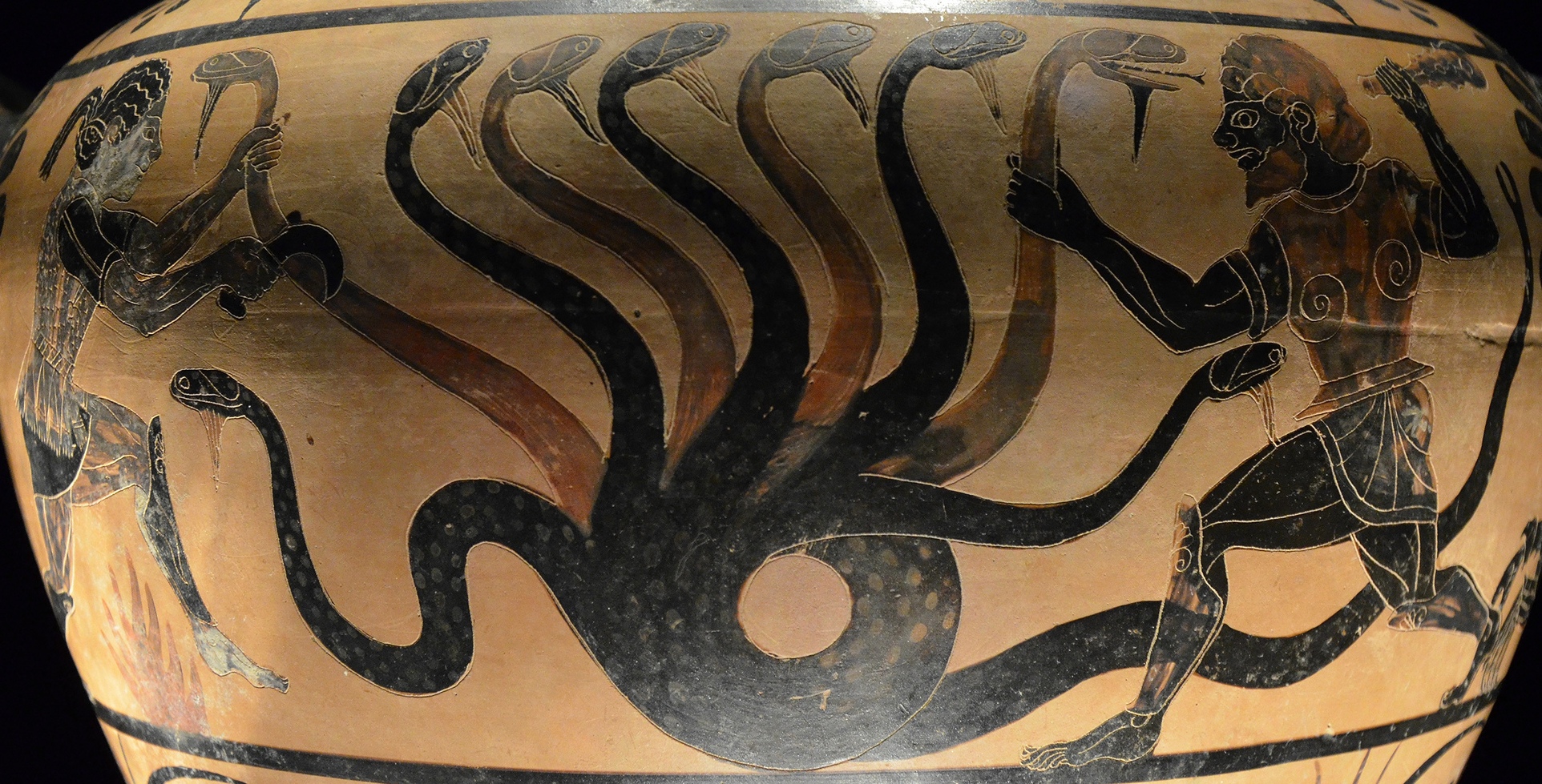 Hydra – World History et cetera