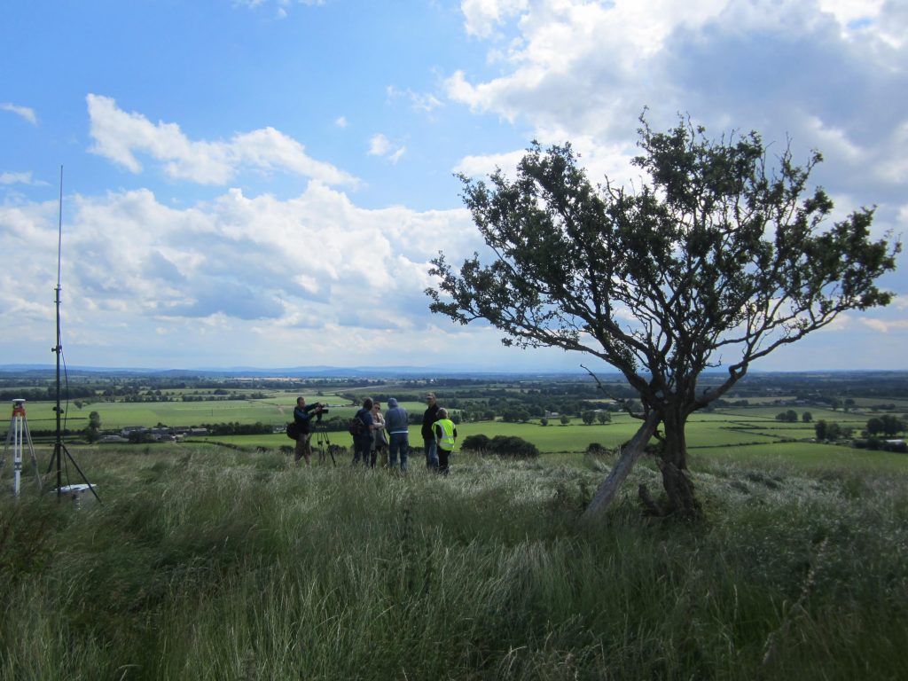 The Late Iron Age and Roman Ireland Project – World History et cetera